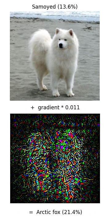 Omar Cusma Fait - Portfolio